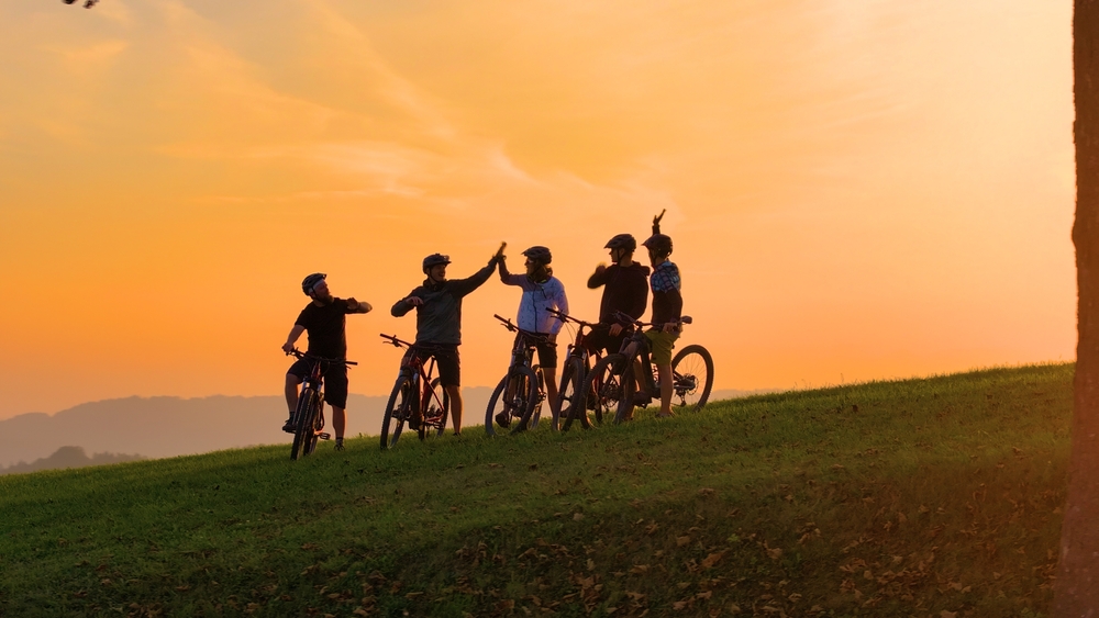 velosure